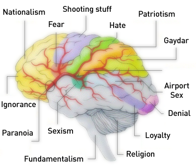 The Conservative Brain: Fearful and Close-minded